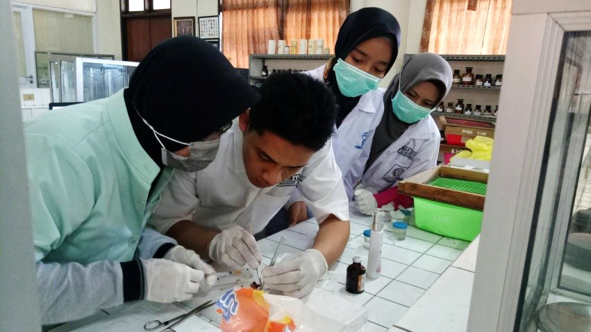 ’Nano Spray Inhaler’ Daun Ashitaba Sebagai Terapi Penyembuhan Radang ...