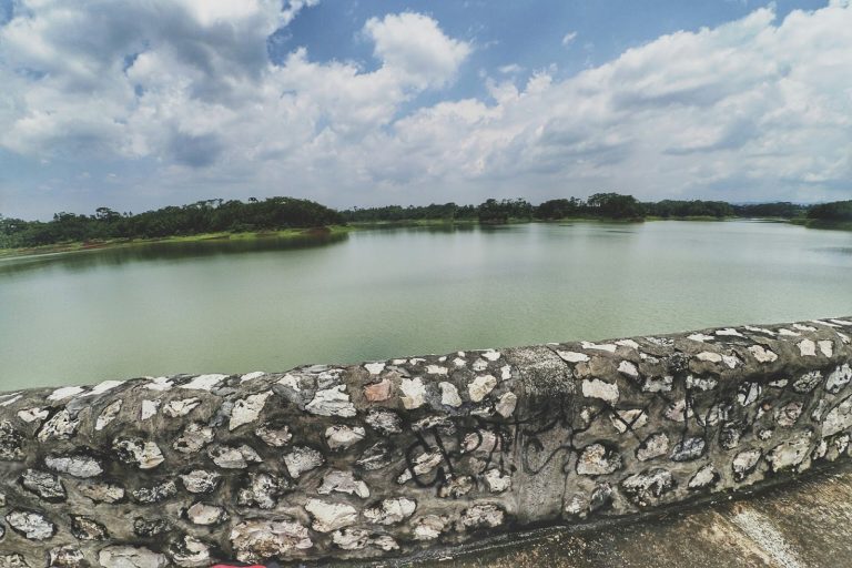 Dua Spesies Ikan Cichlid Invasif Beda Terdeteksi di Waduk Karangkates ...