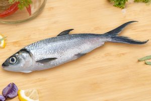 Budidaya Polikultur Ikan Bandeng (Chanos Chanos Forskal) dan Gracilaria ...