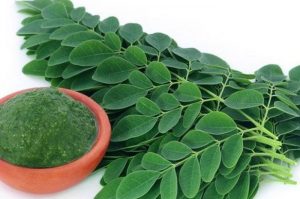 Pemulihan Kualitas Sperma pada Tikus Yang Diinduksi Timbal Asetat ...