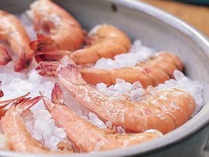 Deteksi Taura Syndrome Virus (TSV) pada Udang Beku - Universitas ...