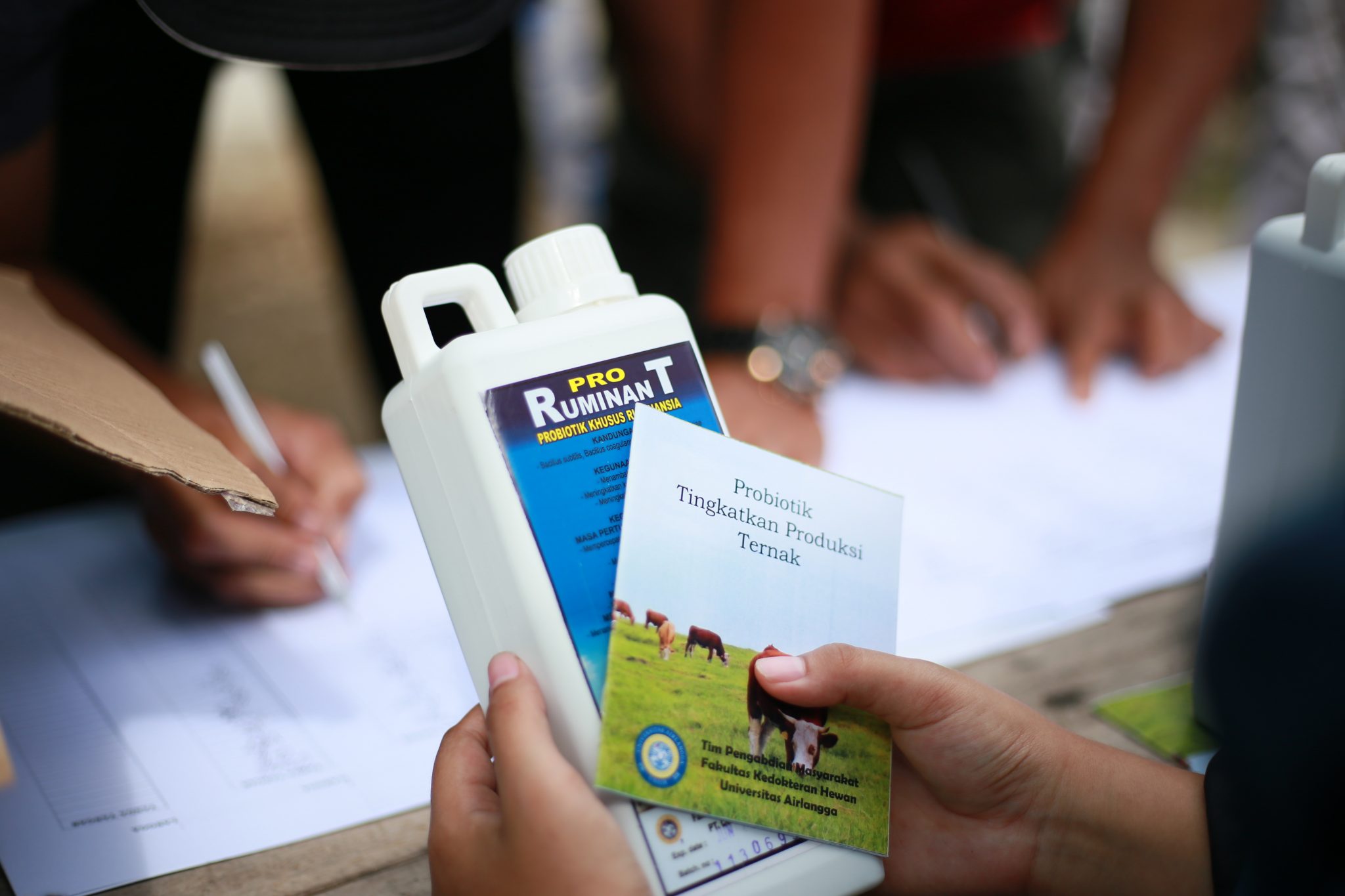 Manfaat Probiotik untuk Tingkatkan Produktivitas Ternak - Universitas ...