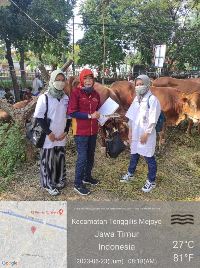 Peran Dosen dan Mahasiswa FKH Unair Pada Pemeriksaan Kesehatan Hewan ...