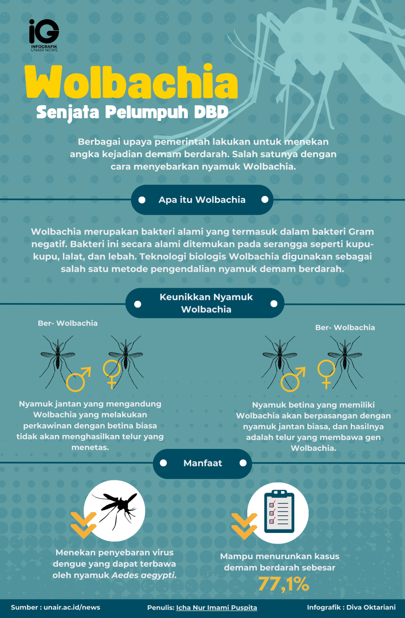 Infografik : Wolbachia, Senjata Pembasmi DBD - Universitas Airlangga ...